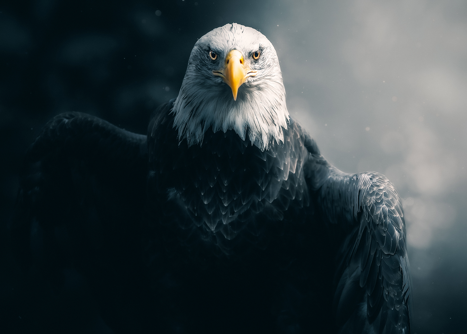 10 Amazing Animals You Need To Meet: Their Lives Told In Photos