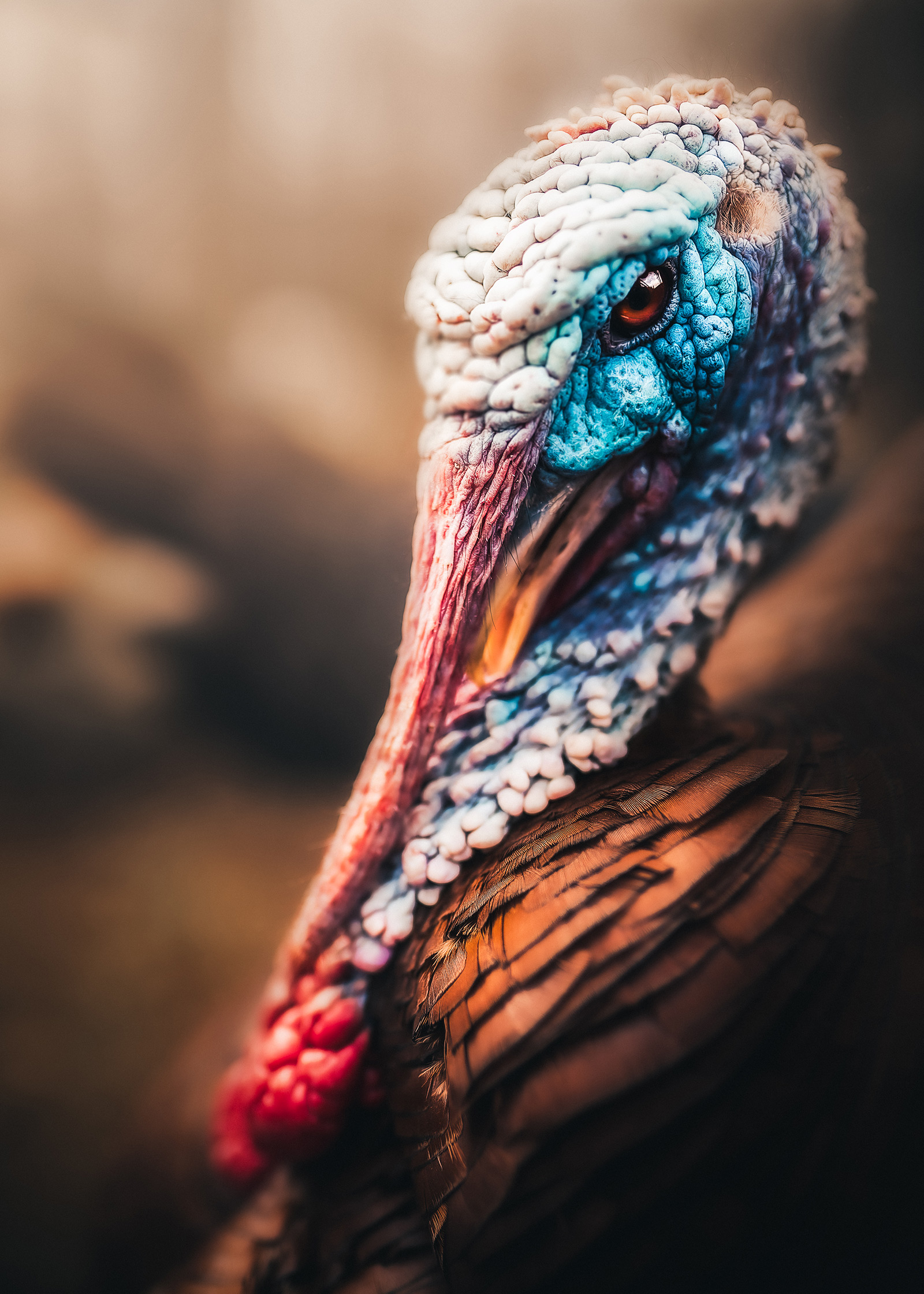 10 Amazing Animals You Need To Meet: Their Lives Told In Photos