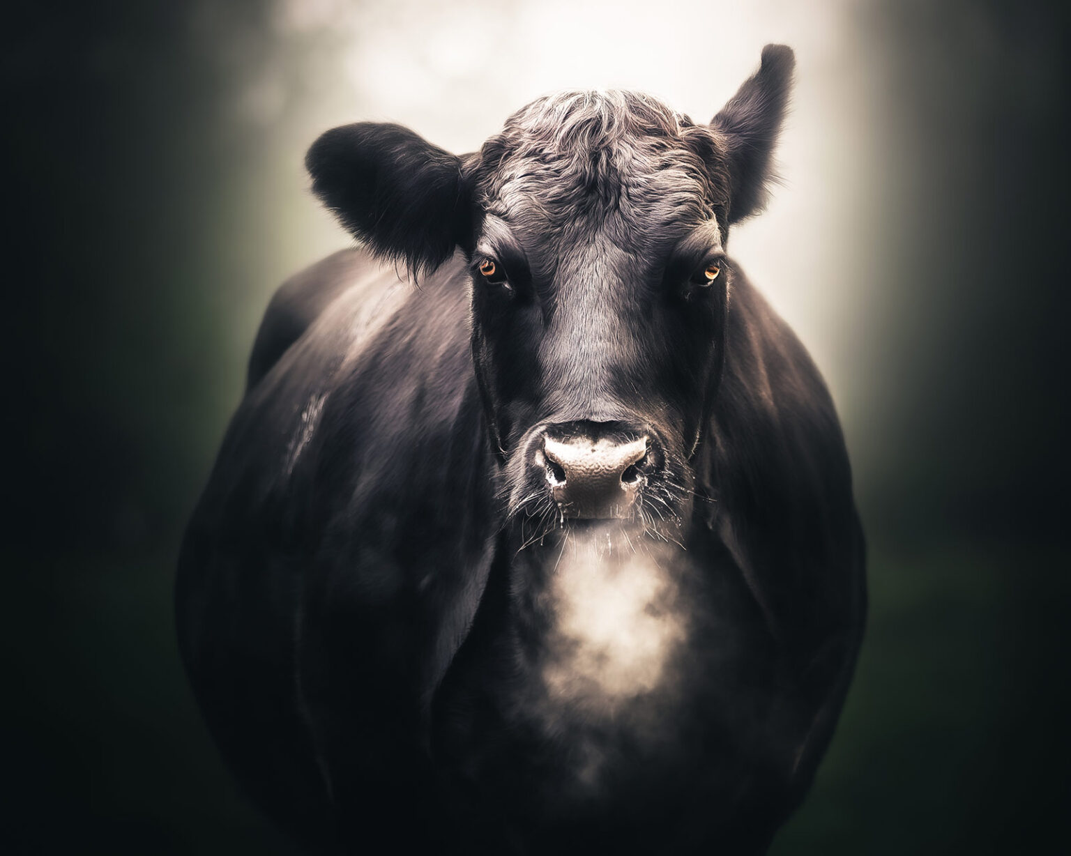 10 Amazing Animals You Need To Meet: Their Lives Told In Photos