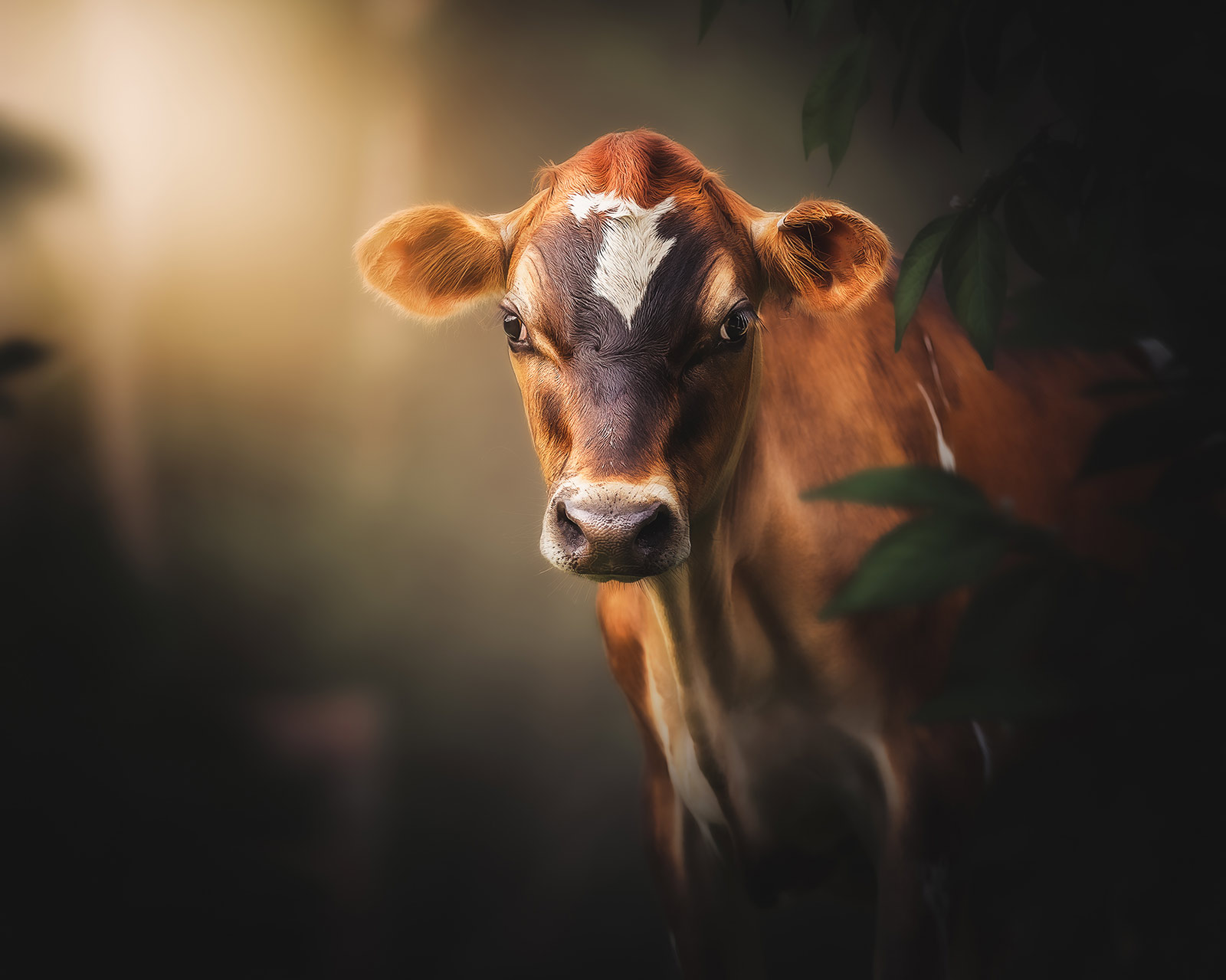 10 Amazing Animals You Need To Meet: Their Lives Told In Photos