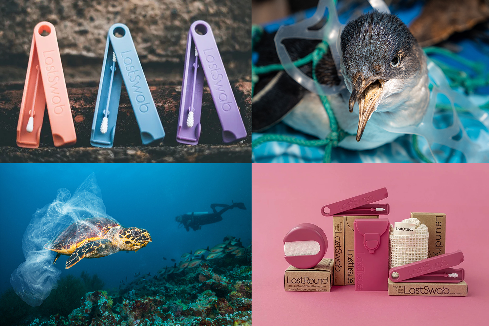 Drowning in Single-Use Plastic: The Company Leading The Fight Against ...