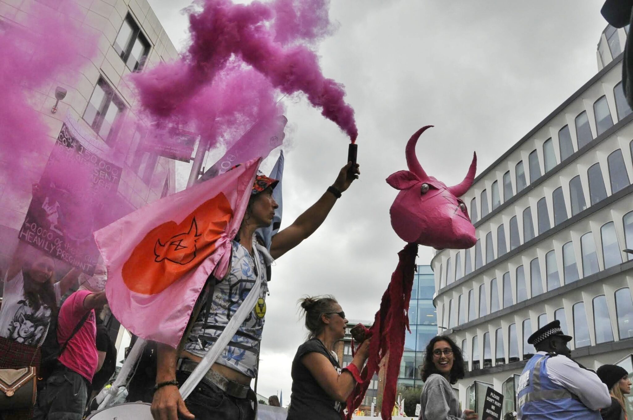 Here’s Why There Are So Many Animal Freedom Protests Happening Right ...