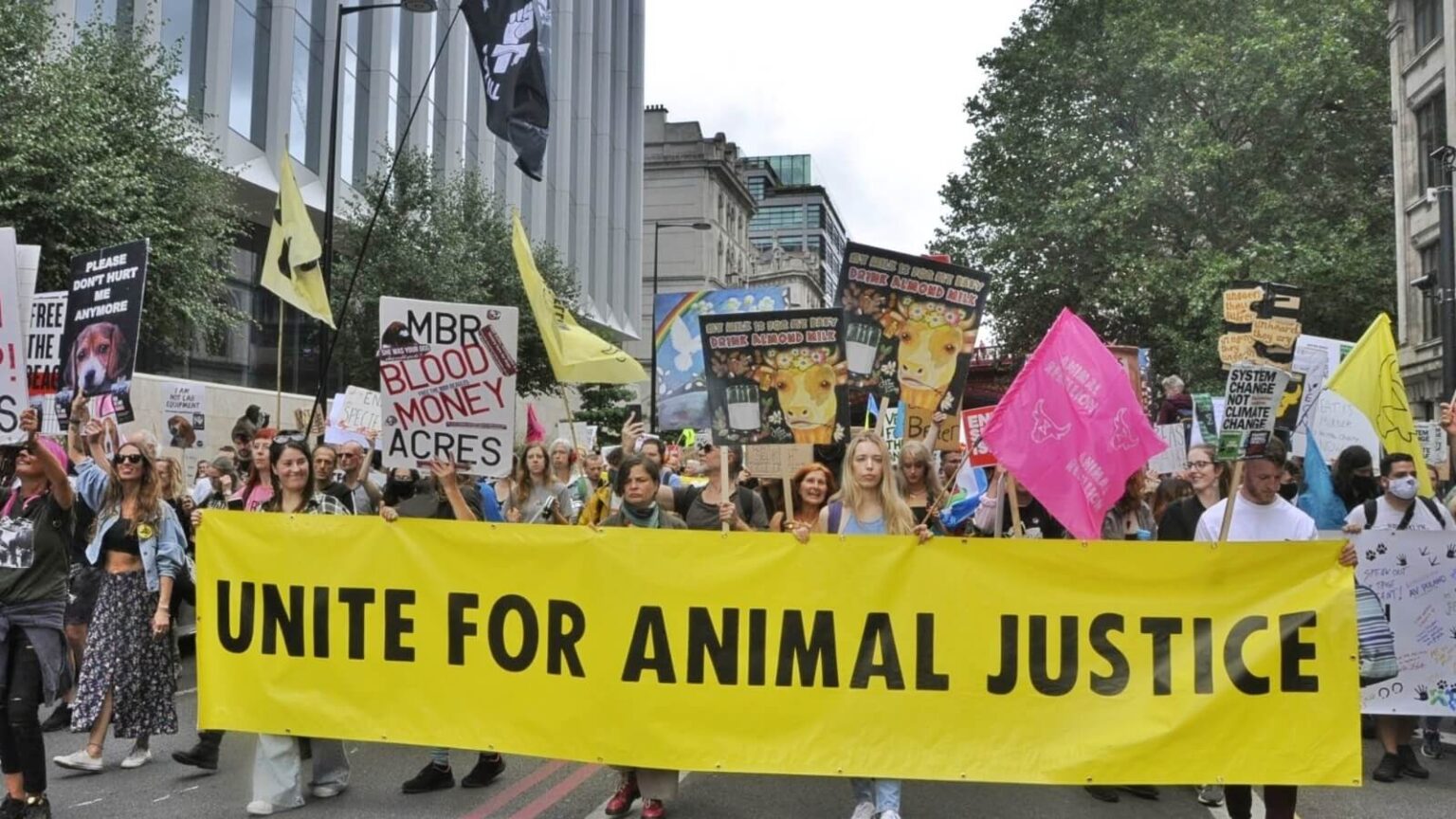 Here’s Why There Are So Many Animal Freedom Protests Happening Right ...