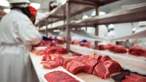 Americans Urged To Cut Meat Intake To Protect Disadvantaged Workers In ...