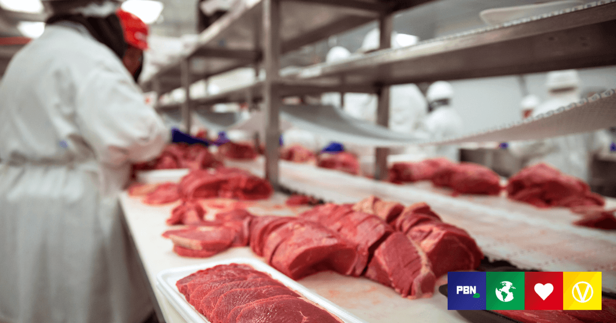 Americans Urged To Cut Meat Intake To Protect Disadvantaged Workers In ...