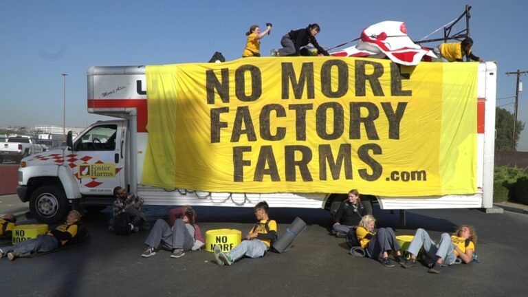 Protesters Block Slaughterhouse Which Supplies Poultry To Amazon And ...