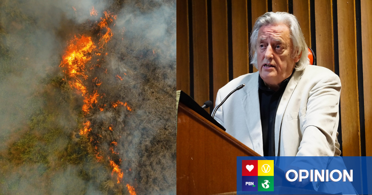 Defense Barrister Says Destruction Of Nature Should Be Made Illegal