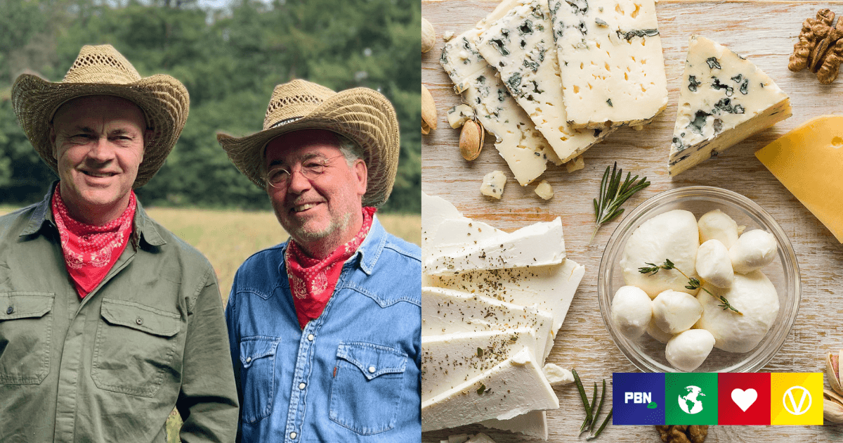 Cow-Free Dairy Start-Up ‘Those Vegan Cowboys’ To Reinvent All Cheese ...