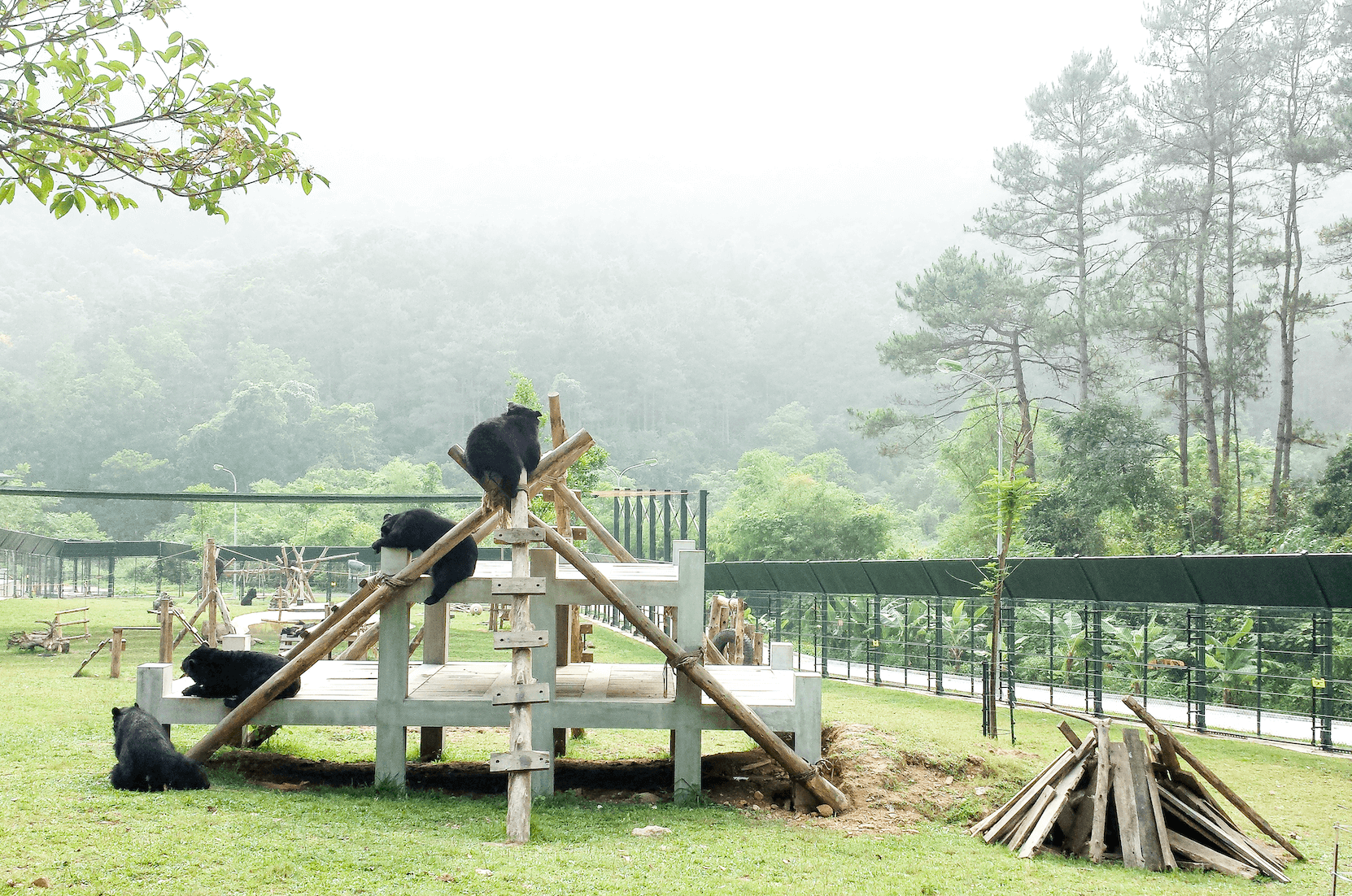 Joaquin Phoenix, Stephen Fry, And More Celebs Battle To Save Moon Bears ...