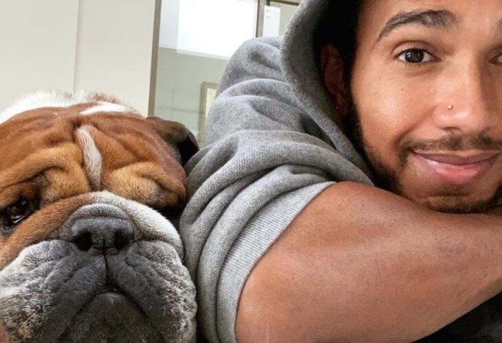 Vegan Formula One Champ Lewis Hamilton To Receive Knighthood - Plant ...