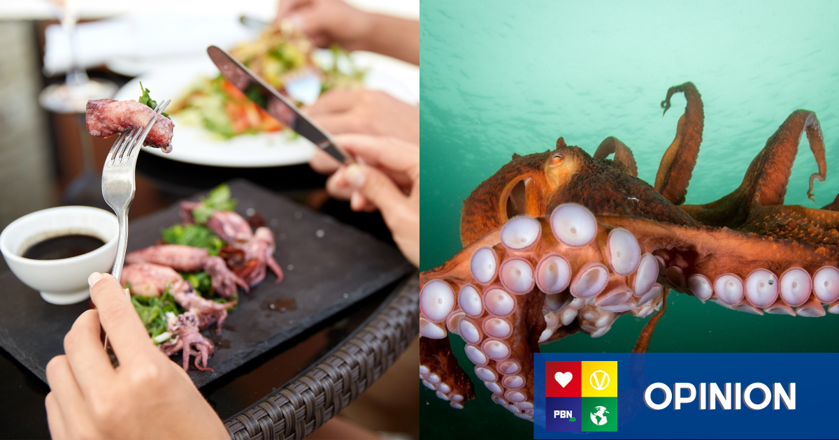 Octopus Farming: Why It's An Environmental And Welfare Travesty