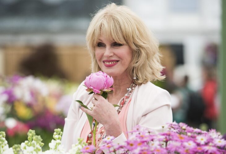 The Queen Makes Joanna Lumley A Dame For Entertainment And Charitable ...