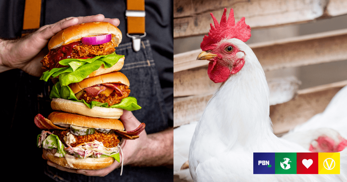 Vegan Chicken Brand VFC Secures $10 Million In Funding After Helping ...