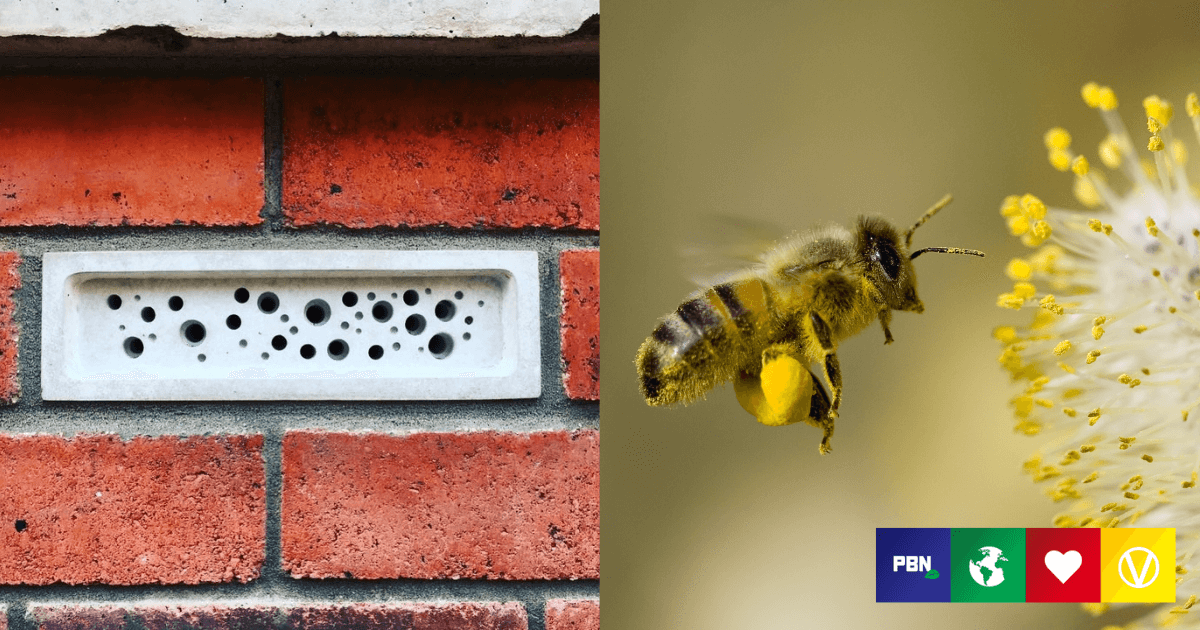 New Policy Mandates 'Bee Bricks' In Brighton, UK, To Protect Biodiversity