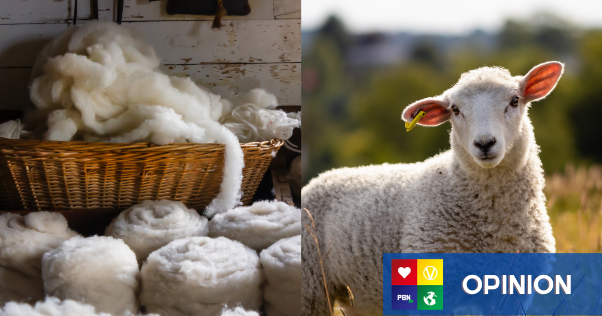 A 'Wake-Up Call': Wool Production Uses 367 Times More Land Than Cotton