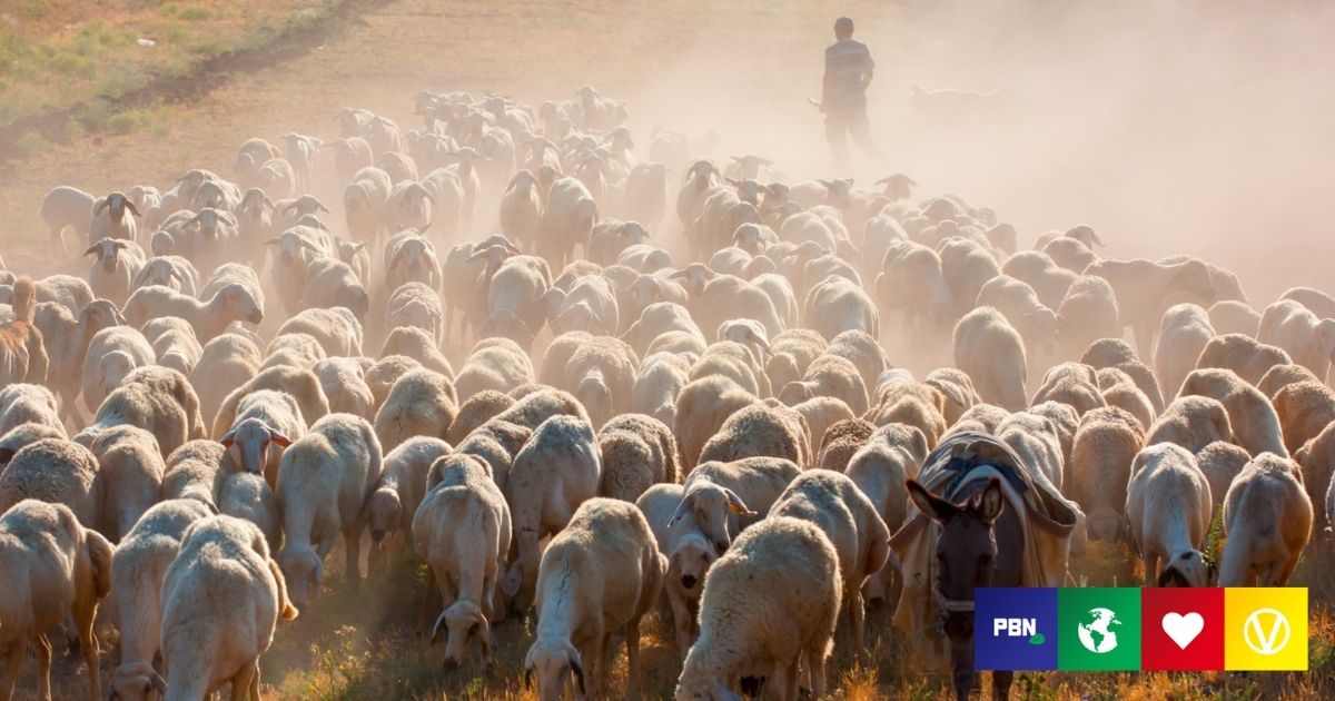 Eating Less Meat And More Plants Could Help Protect 500 UK Species ...