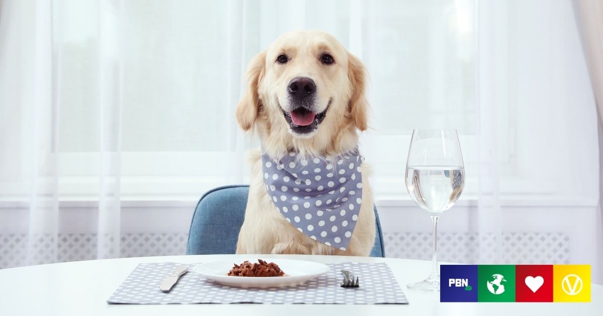 Vegan Dog Food Sales Surge By 600% In Just 6 Months At UK Start-Up