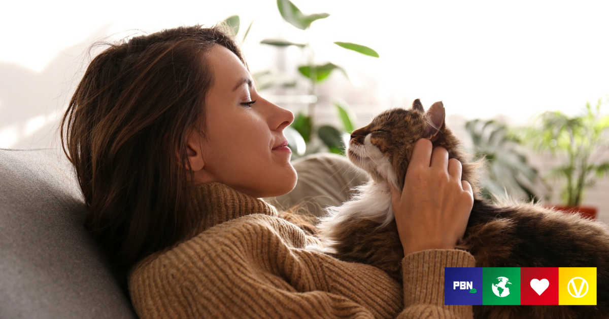 Cats Remember Their Human's Names, Says New Study