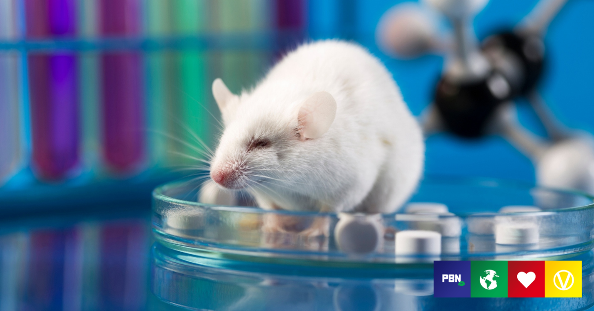 New Study Findings Could Reduce Animal Testing In The Medical Field