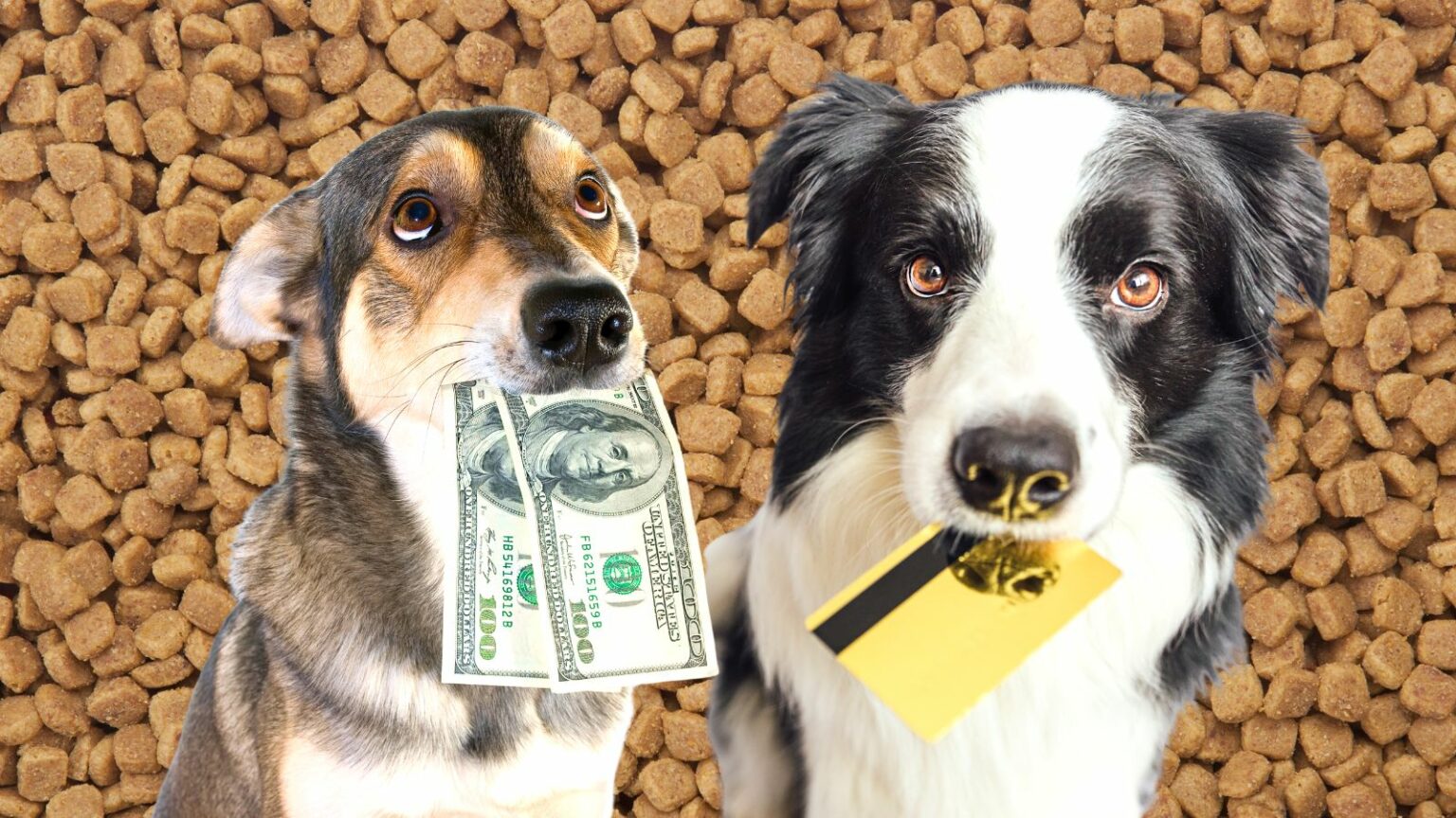 Yes, Vegan Dog Food Is More Expensive Than Meat-Based Brands - Here's Why