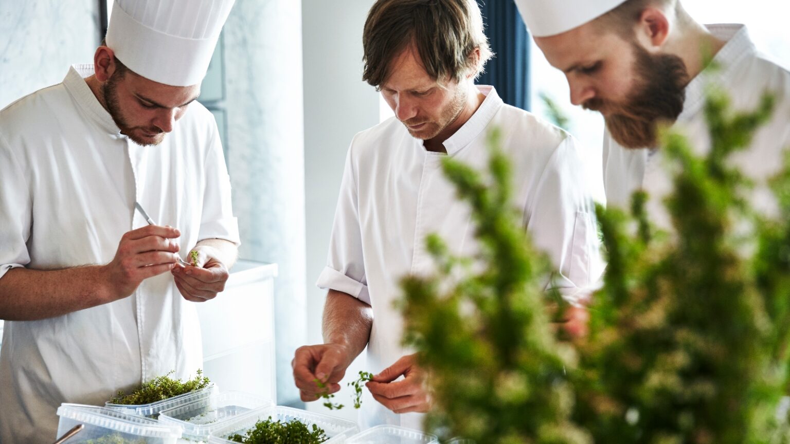 Plant-Focused Eatery 'Geranium' Named Best Restaurant In The World