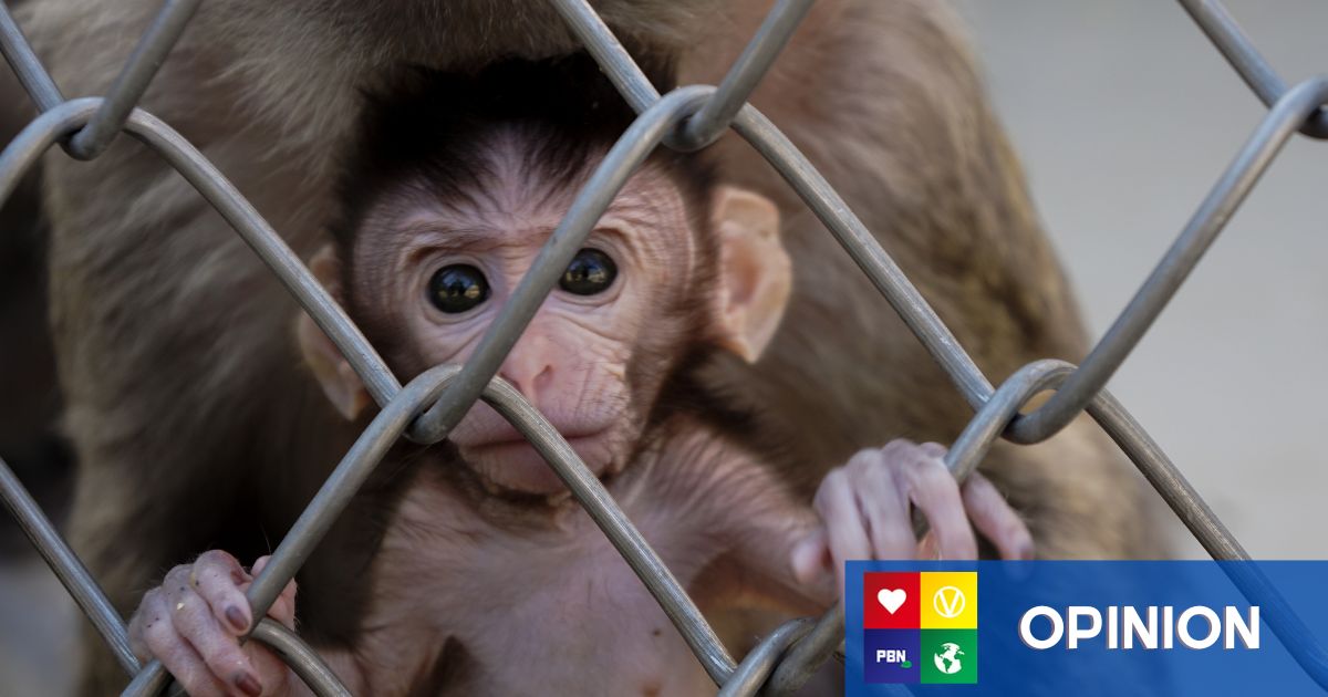 Sad Baby Animals In Zoos