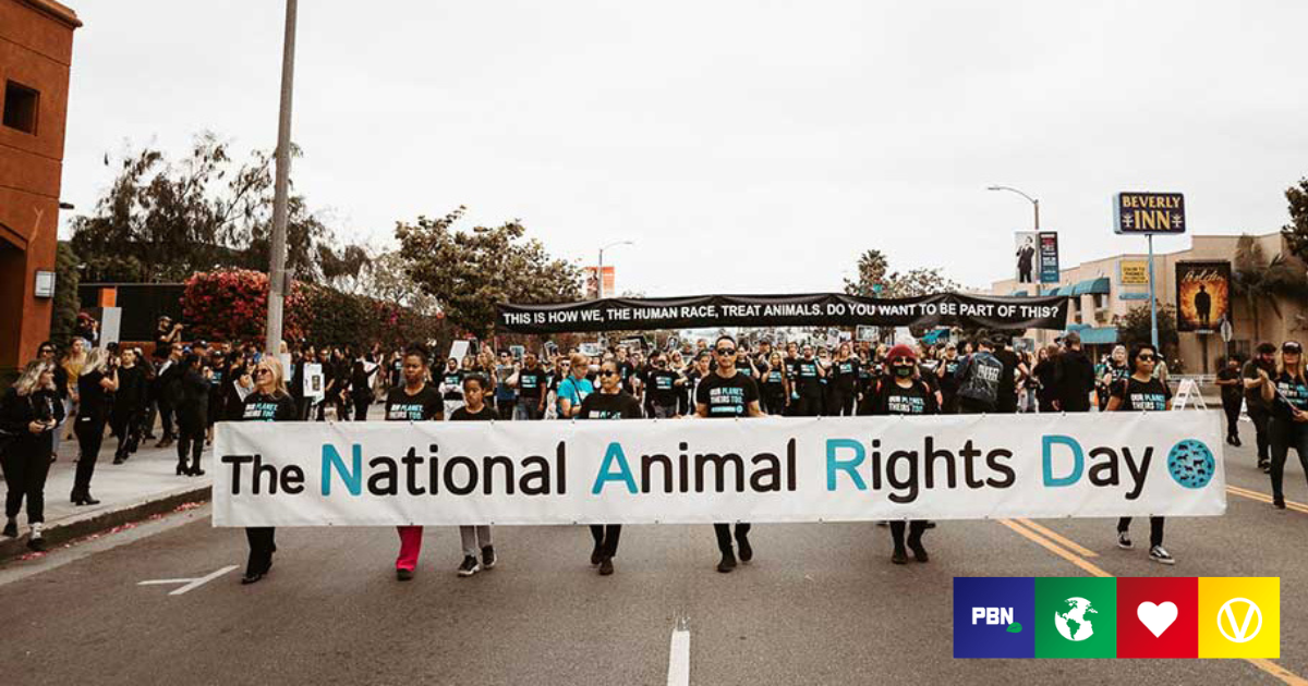 Activists From 43 Countries Joined Together To Memorialize Factory ...