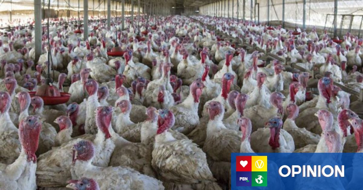 We Should Worry About Bird Flu - But Not Because It's Affecting ...