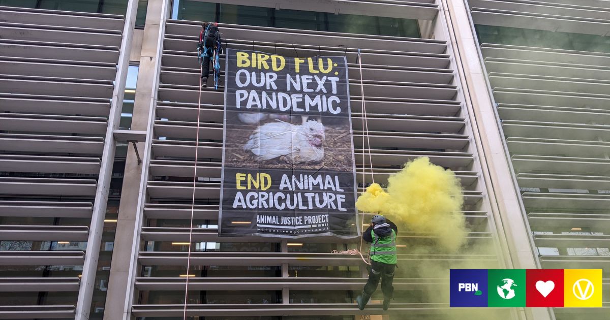 Animal Rights Activists Scale Government Building To Demand Plant-Based ...