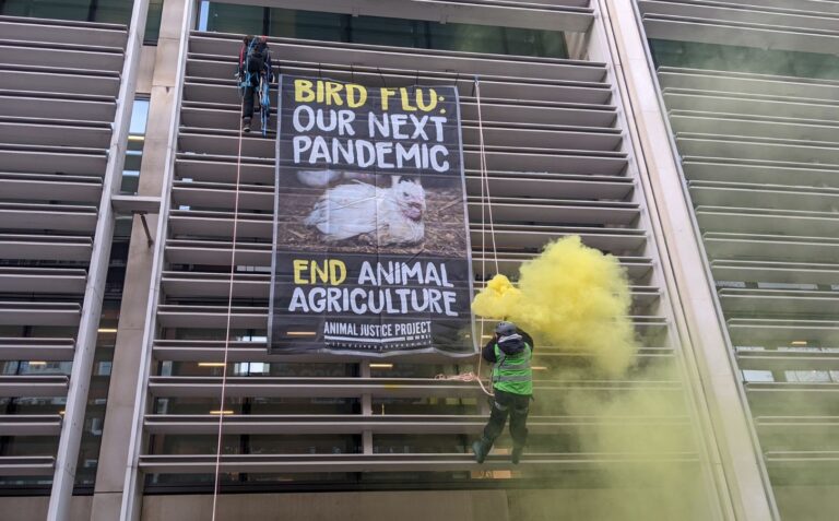 Animal Rights Activists Scale Government Building To Demand Plant-Based ...