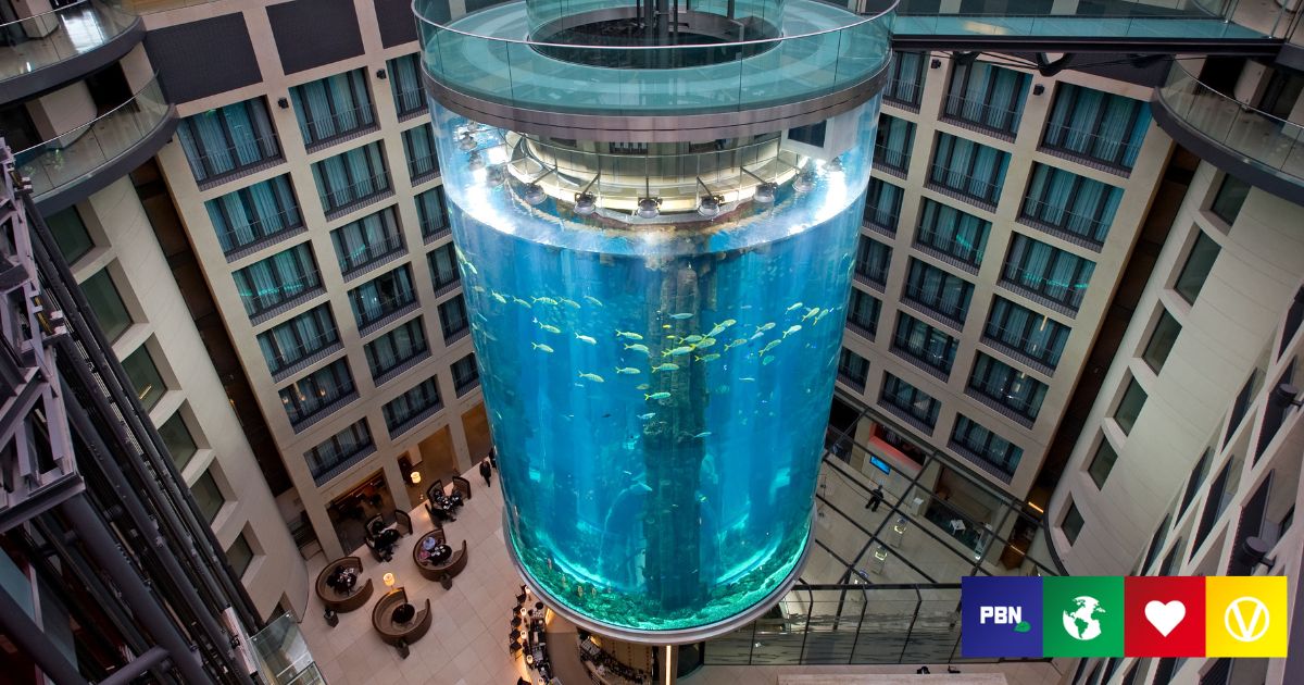 Huge Aquarium Containing 1 500 Exotic Fish Bursts In Berlin huge-aquarium-containing-1-500-exotic-fish-bursts-in-berlin