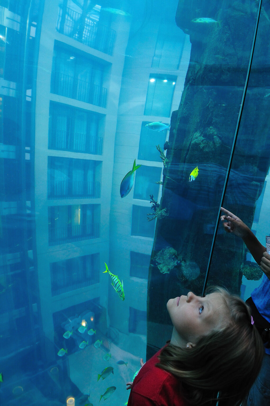 Huge Aquarium Containing 1,500 Exotic Fish Bursts In Berlin
