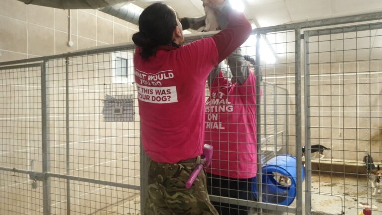 ‘Blood On Your Hands’: Police Return Rescued Puppies To Animal Testing ...