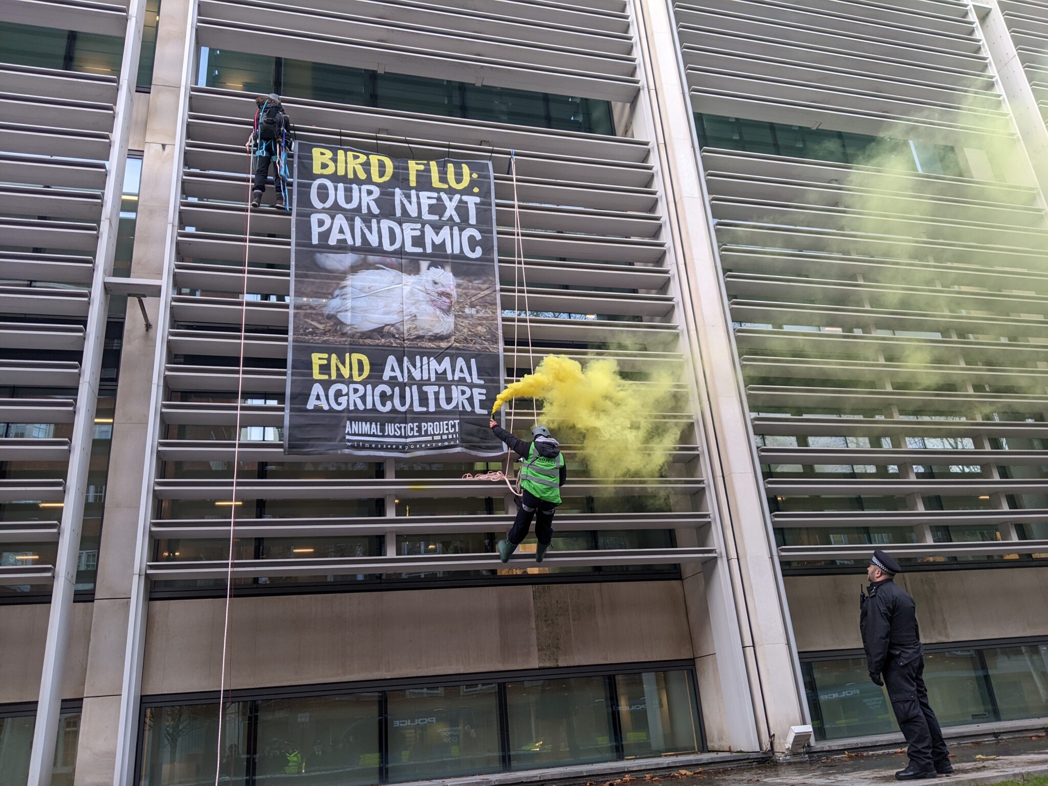 Animal Rights Activists Scale Government Building To Demand Plant-Based ...