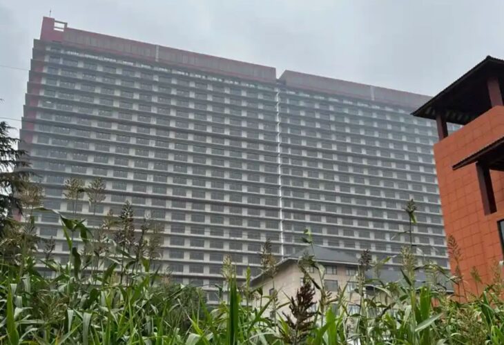 1 Million Pigs Killed A Year - Cement Company Opens World’s Largest ...