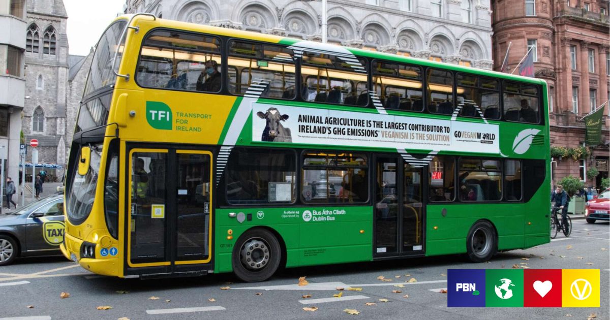 Dublin Bus Adverts Promoting Veganism Spark Backlash From Politicians
