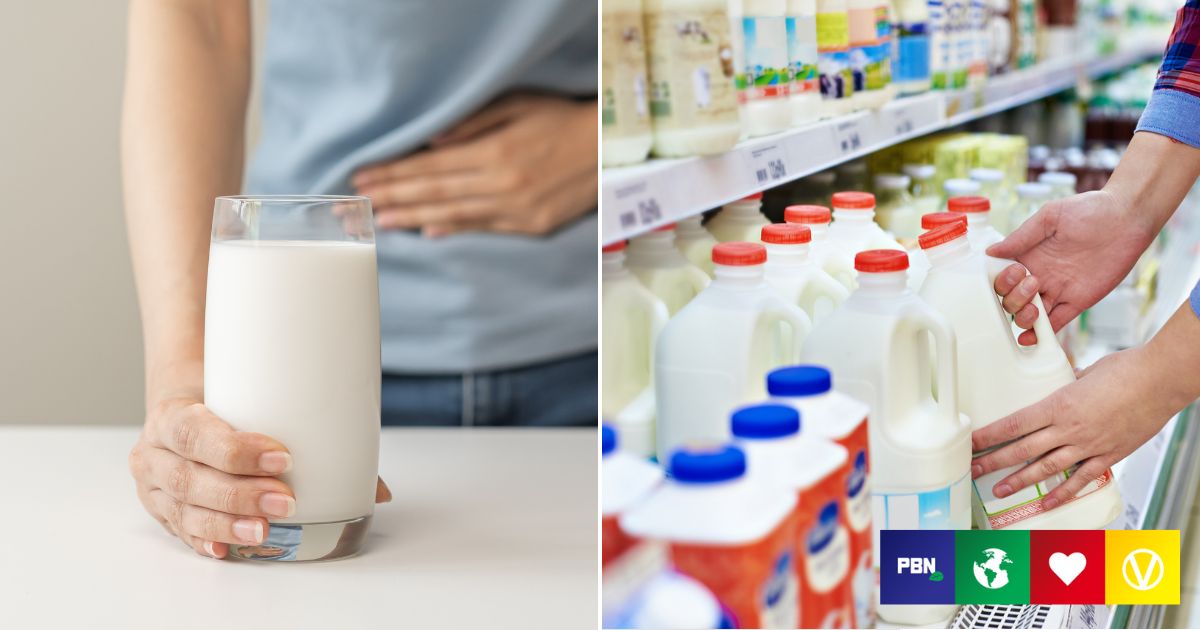 Is Dairy Bad For You? The Health Effects Of Milk On The Body