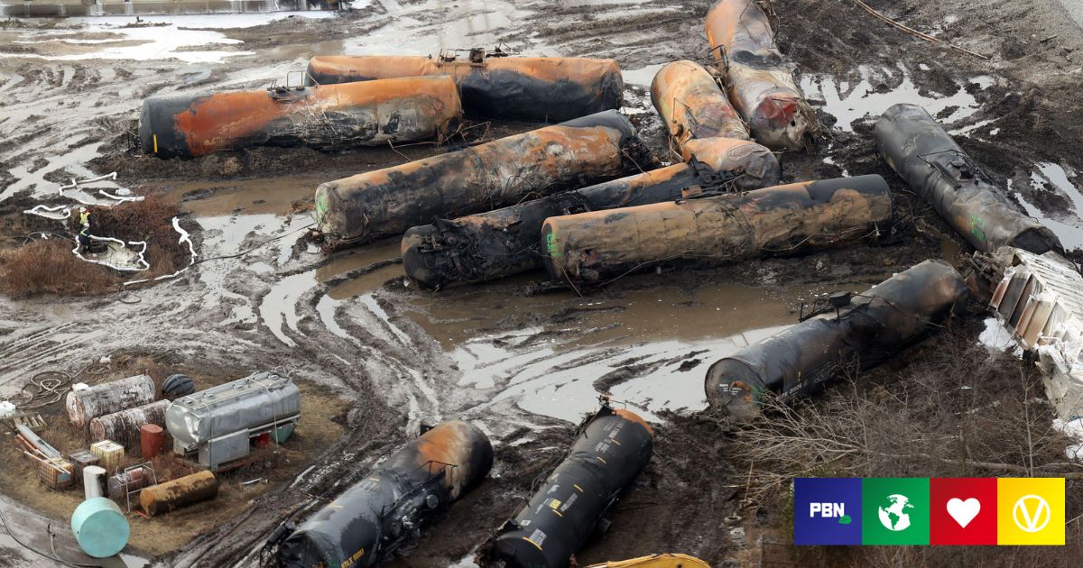 Thousands Of Animals Die Following Ohio Train Derailment