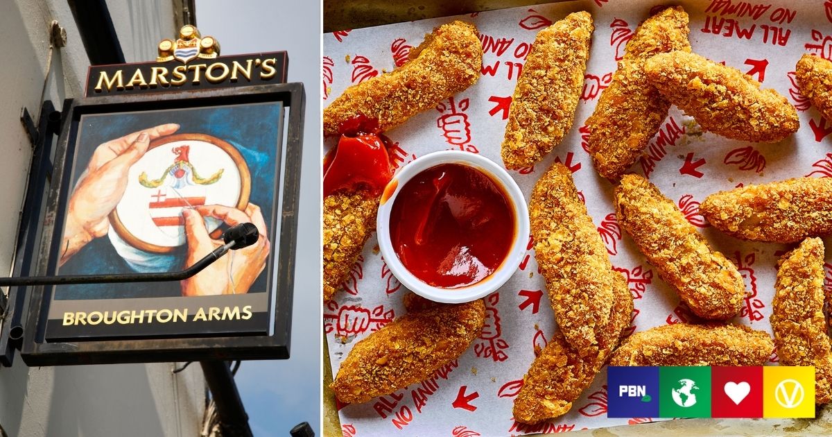 VFC Vegan Chicken Launching In 600 Pubs Across The UK