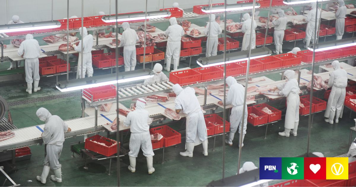 Slaughterhouse Worker Dies While Killing Pig In Hong Kong