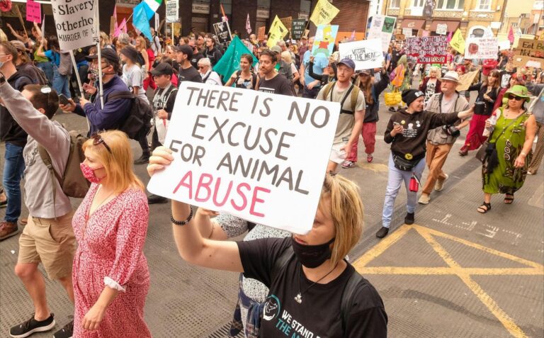 Animal Rebellion Moves Away From Extinction Rebellion With New Rebrand
