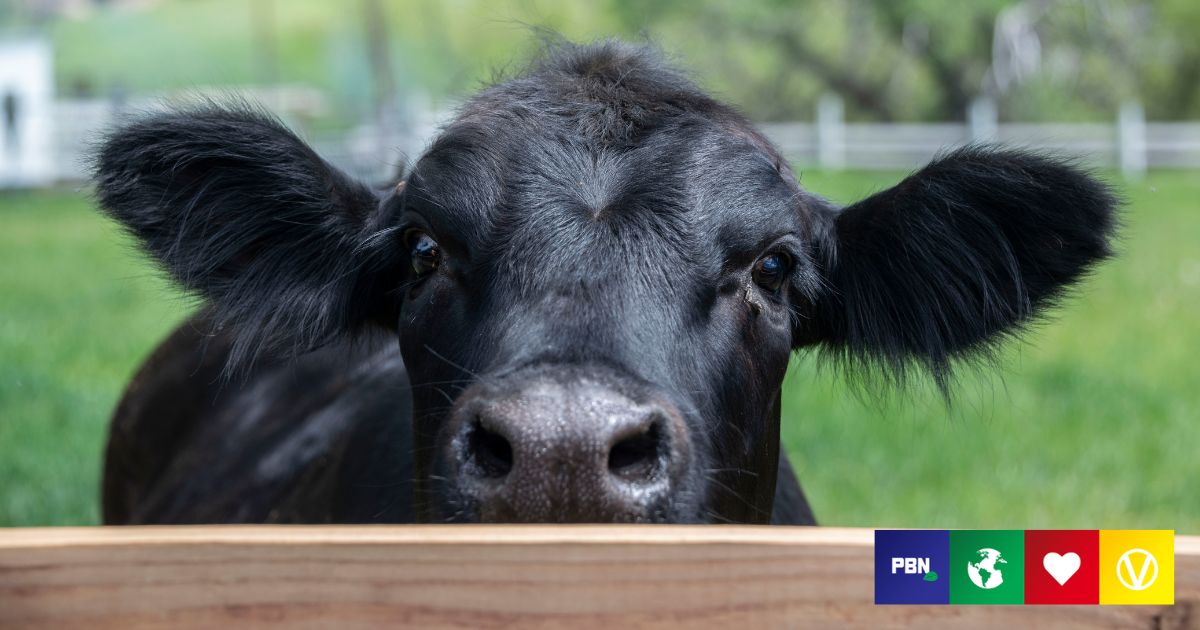 18-year-old shares her journey with vitiligo and why beauty standards ...