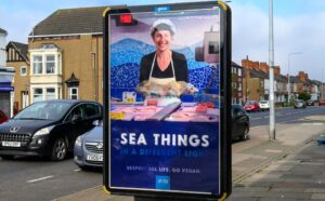 Is Eating Fish The Same As Eating Cats? New Billboard Campaign Sparks ...