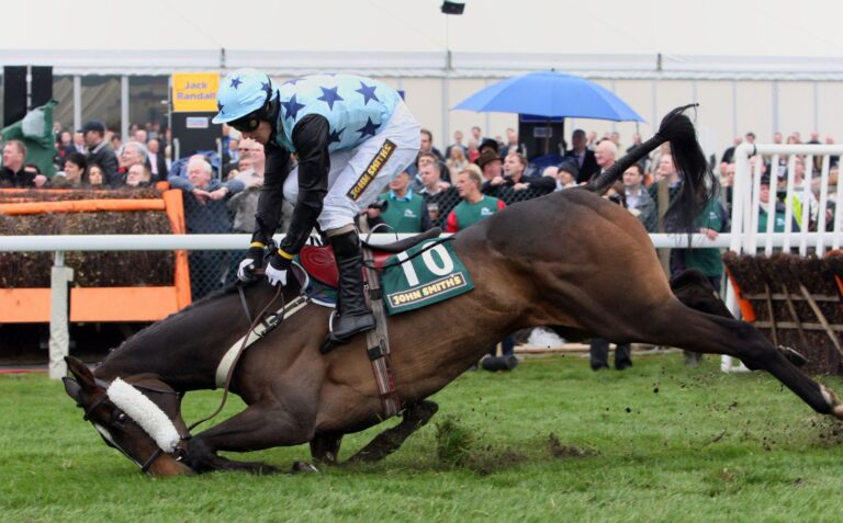 Is Horse Racing Cruel, And How Many Animals Die?
