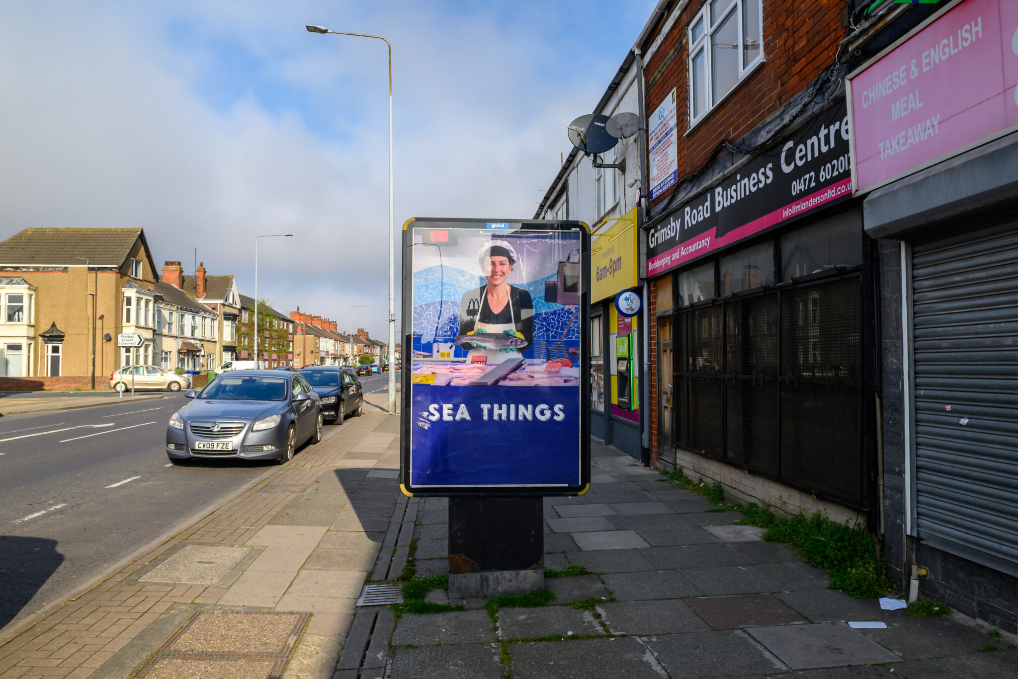Is Eating Fish The Same As Eating Cats? New Billboard Campaign Sparks ...