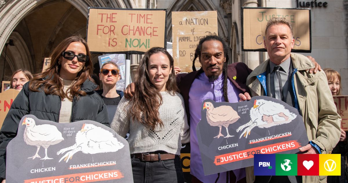 ‘Justice For Chickens’: Chris Packham Joins Protest Against UK ...