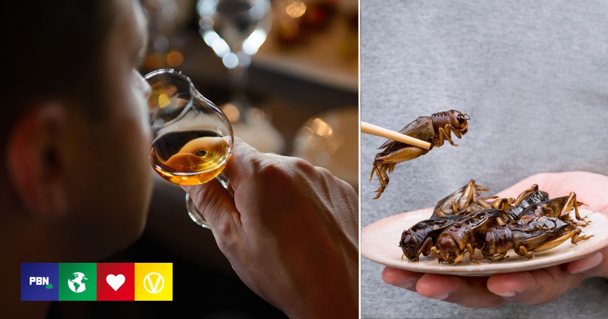 Whiskey Tasting Night Serves Scorpion, Crickets, And Other Insects