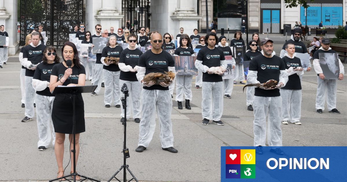 Vegans Held Deceased Animals In A London Memorial Service - Here’s Why