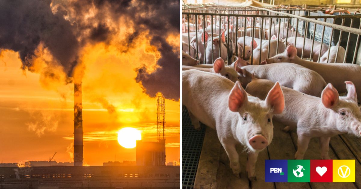 WATCH: Is Fossil Fuel Action Enough To Save Earth? What The Science Says