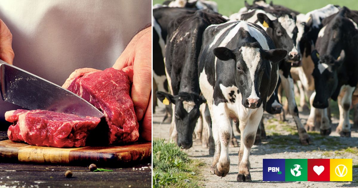Irish EPA Deletes Tweet Encouraging People To Cut Down Meat